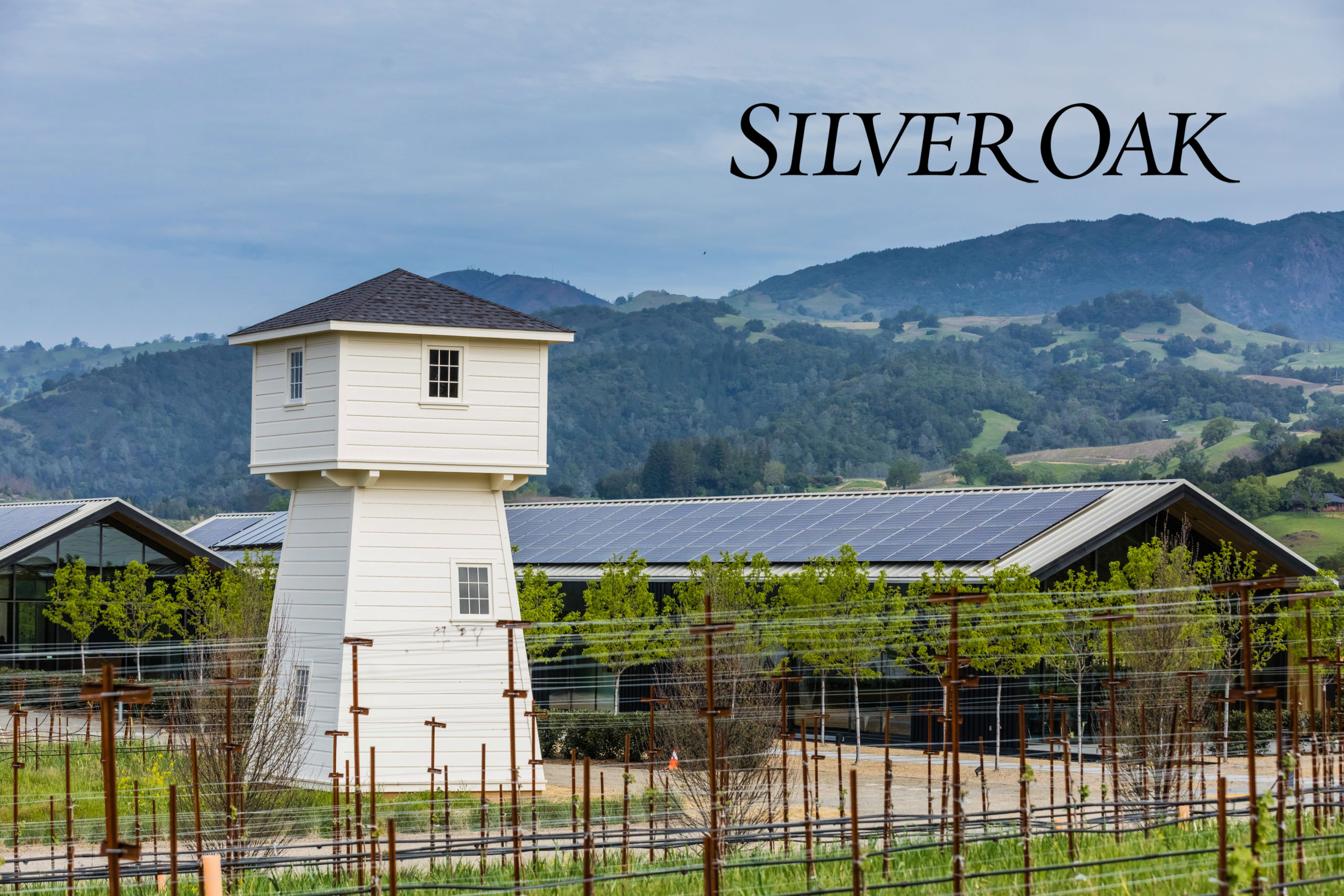 Silver Oak – Legendarna vinarija posvećena vrhunskom Cabernet ...
