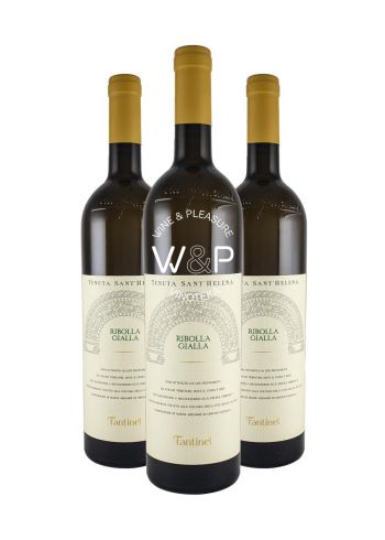 Wine & Pleasure | Vinoteka Beograd